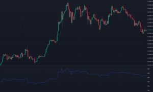 Volume Price Trend – Bull at School
