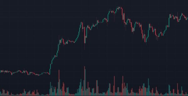 Volume - Bull at School